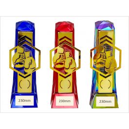 HEX Boxing Gloves Trophy