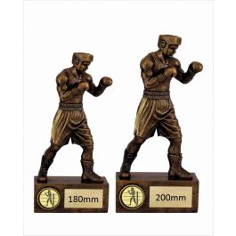 Stance Boxing Figure Trophy