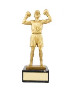Boxing Trophies