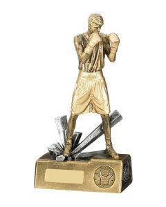 Boxing Trophies