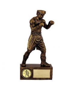 Boxing Trophies